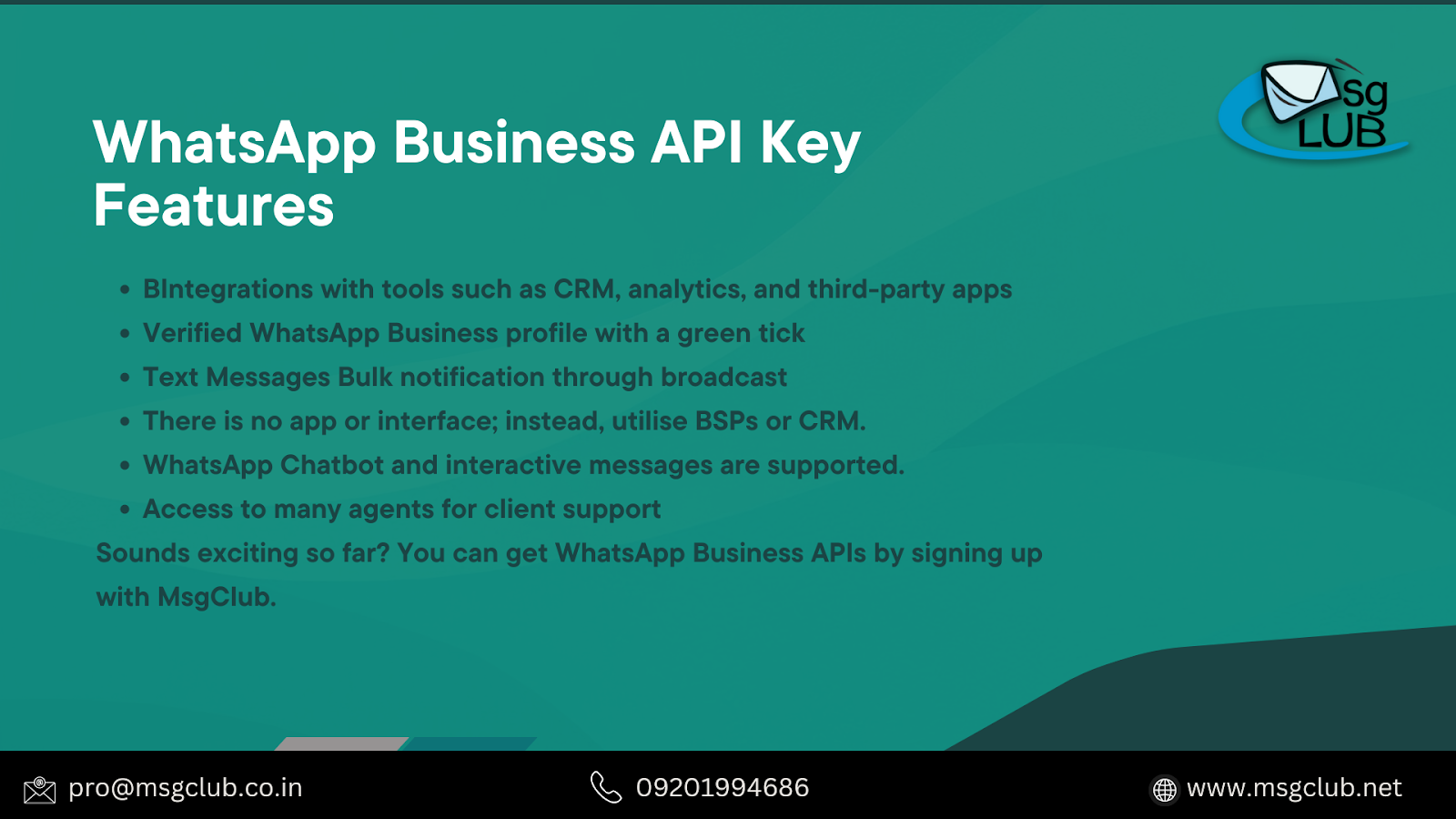 Is the WhatsApp Business API appropriate for you?