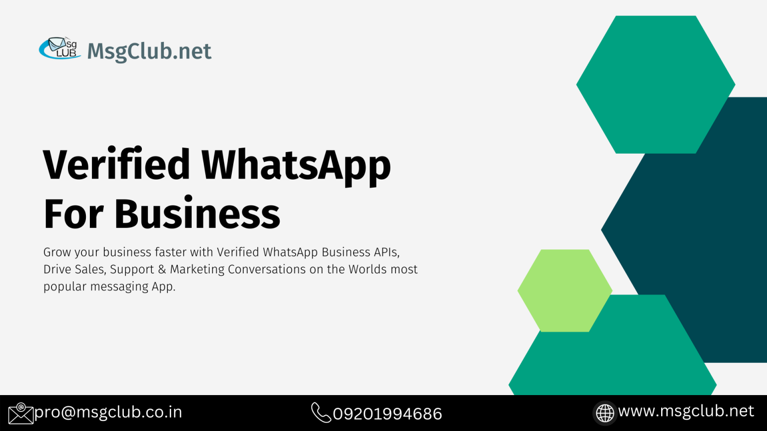 WhatsApp Business, Verified WhatsApp Business API